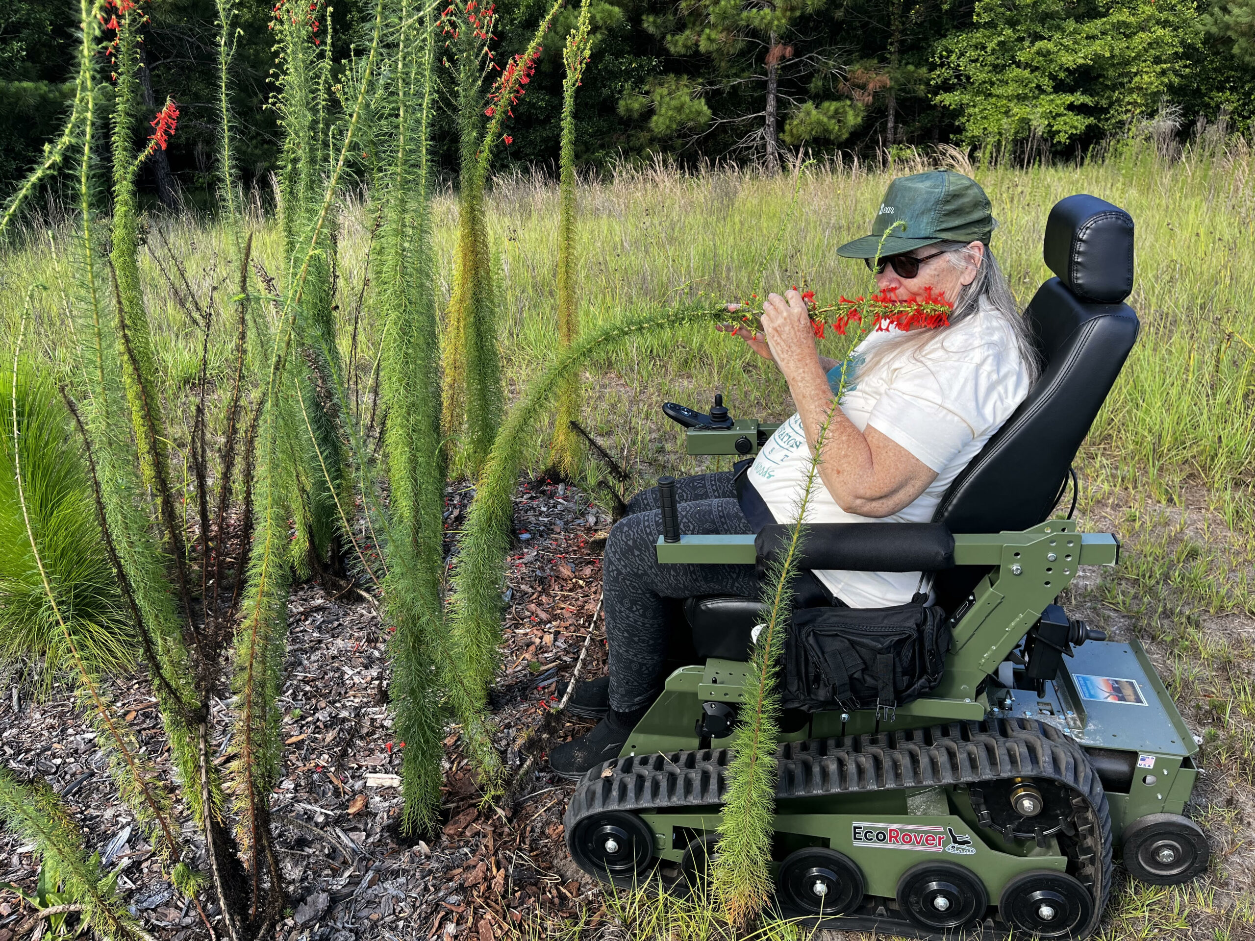 Native Plant Garden at Prairie Creek – ALACHUA AUDUBON SOCIETY
