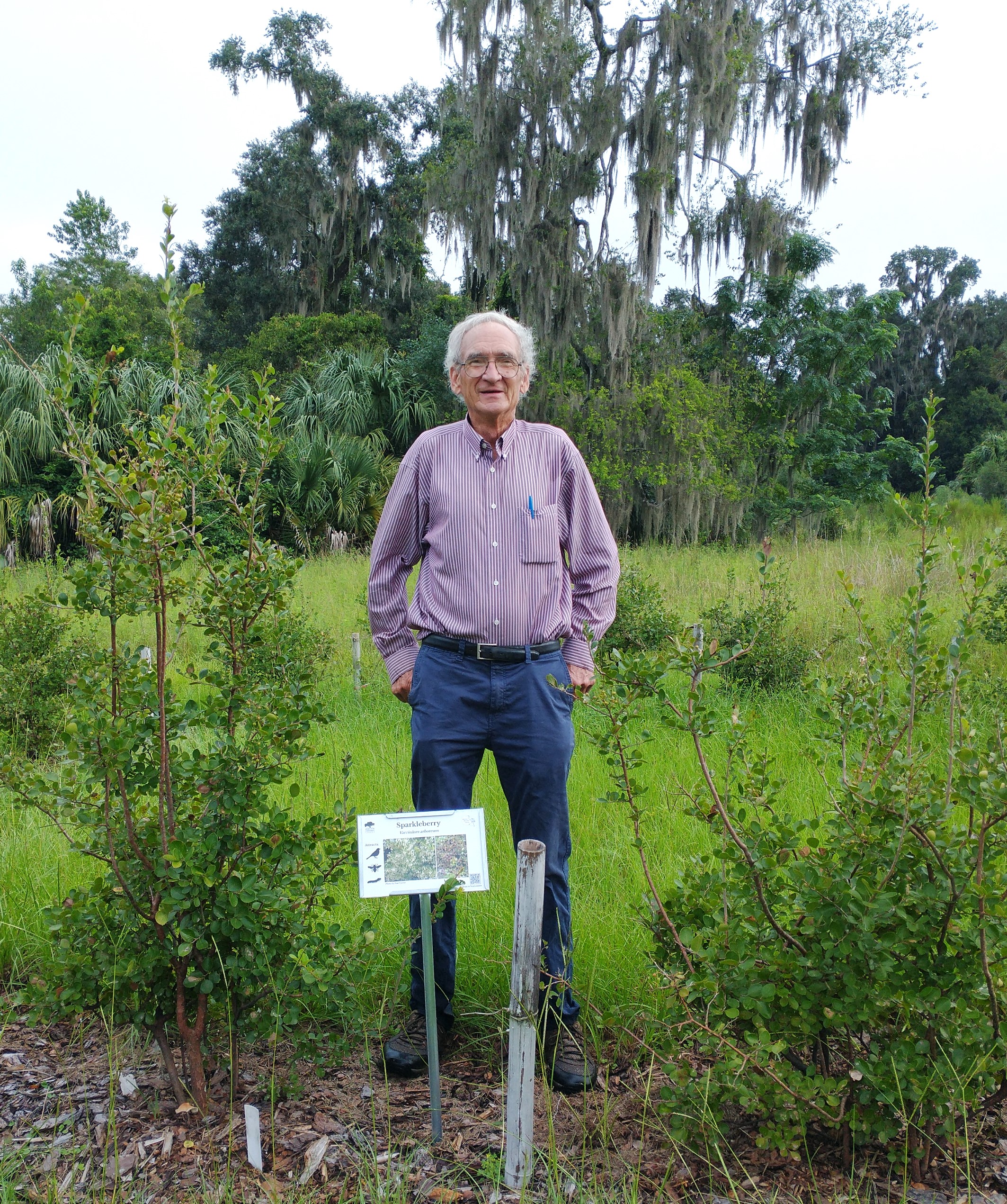 Native Plant Garden at Prairie Creek – ALACHUA AUDUBON SOCIETY